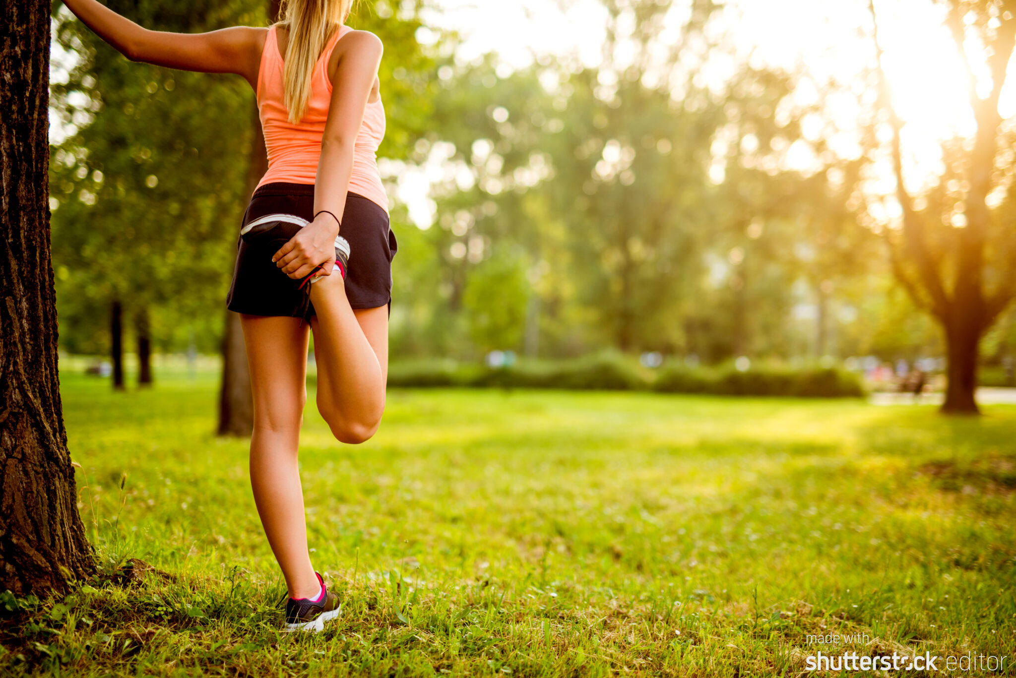 e-Nudge 運動を必要とする全ての人へ